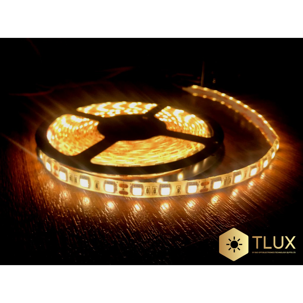 High Lumen 12V IP65 5050-60 LED Lighting Strips - TLUX